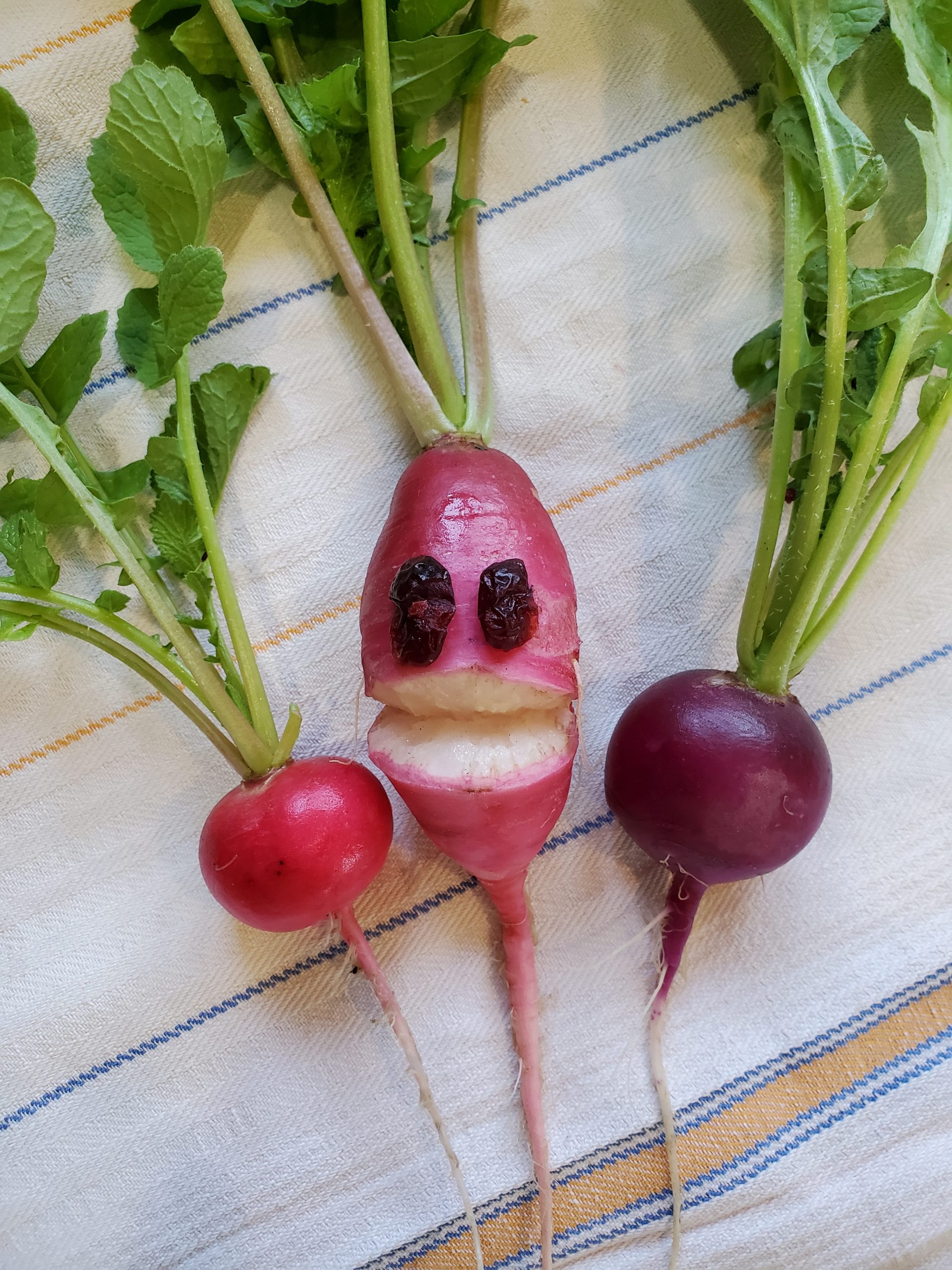 radishes – Hop N Hen Farm LLC